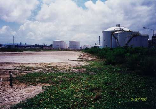 Phenolchemie Tank Farm & Pipelines – ATT